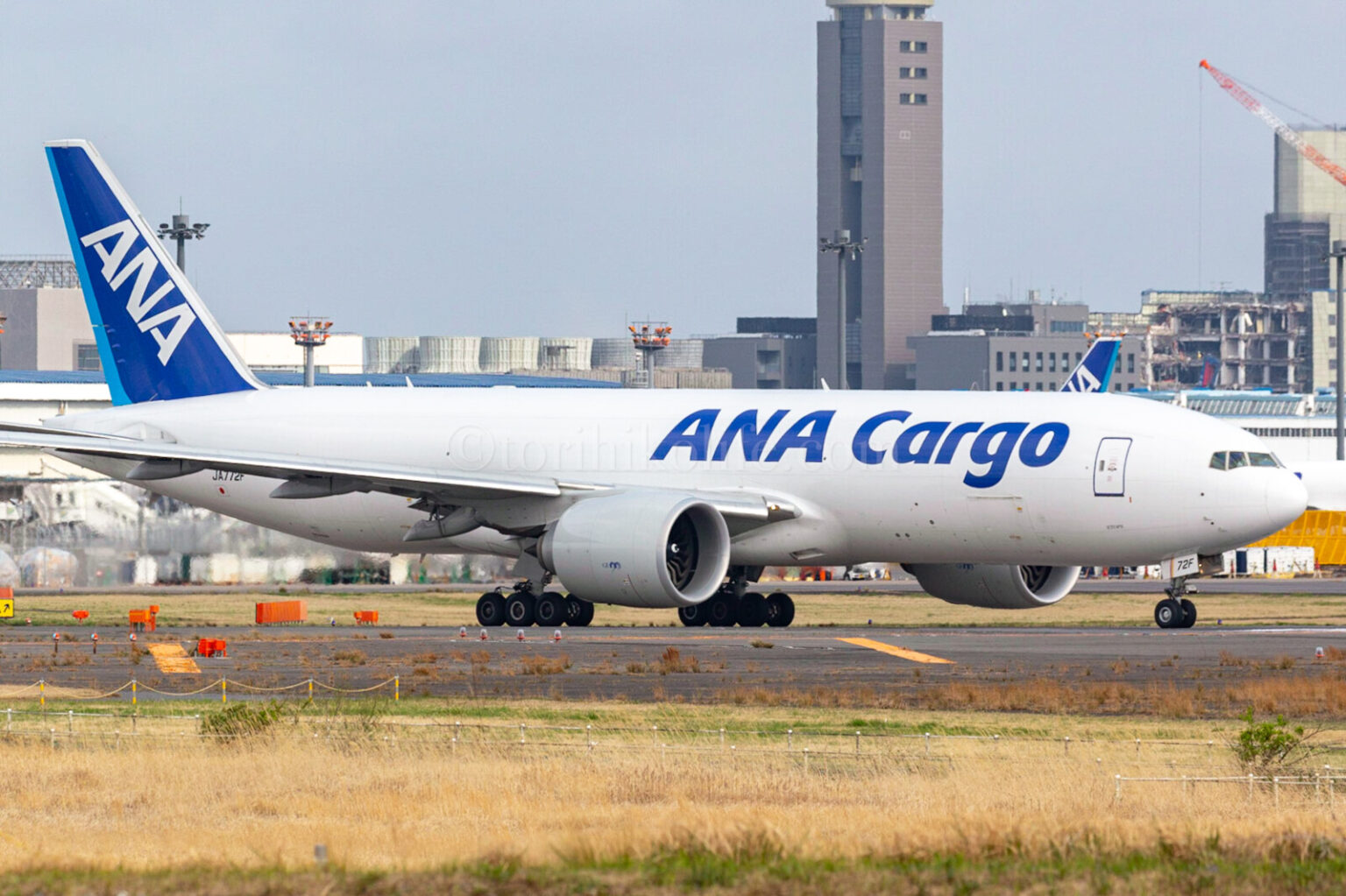 2024年1月最新【全日本空輸(ANA)】保有機材まとめ。登録&退役情報と現在運航中の特別塗装機一覧 | とりひこライフ