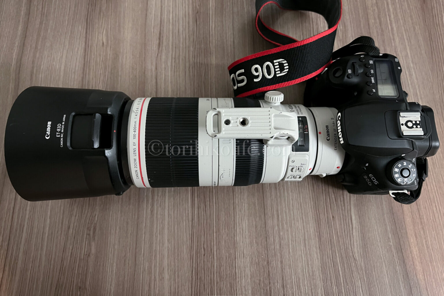 CANON EOS 90Dレビュー。飛行機やモータースポーツなど動体撮影におすすめのカメラ | とりひこライフ